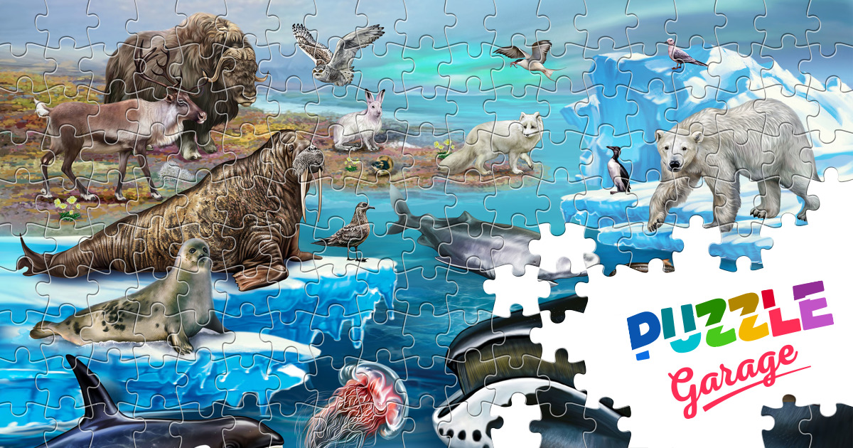 Arctic animals, birds and fish Jigsaw Puzzle (For children, Cartoon ...