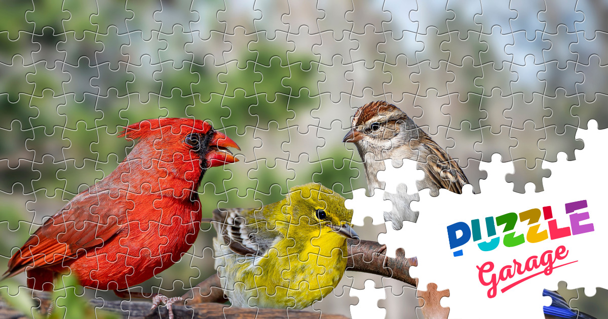 Sangfugle Jigsaw Puslespil (Dyr, Fugle) | Puzzle Garage
