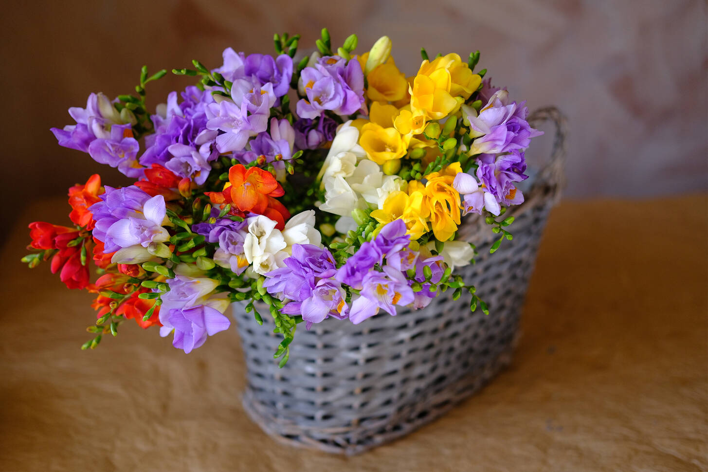 Multi-colored freesia in a basket Jigsaw Puzzle (Plants, Flowers ...