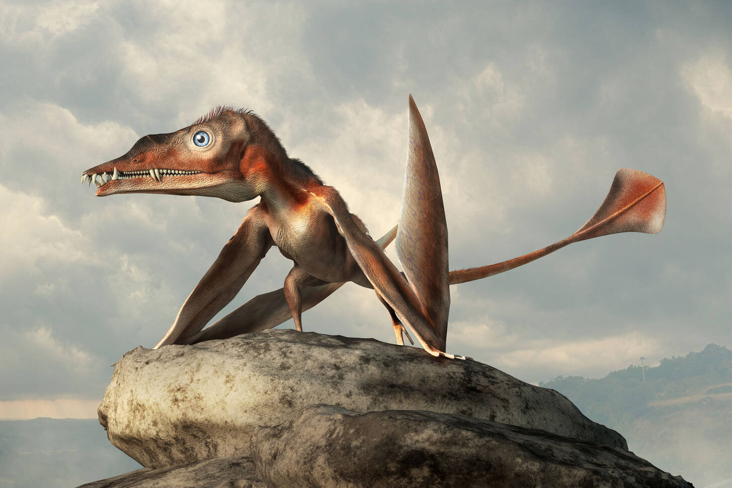 Eudimorphodon Jigsaw Puzzle (Animals, Prehistoric animals) | Puzzle Garage