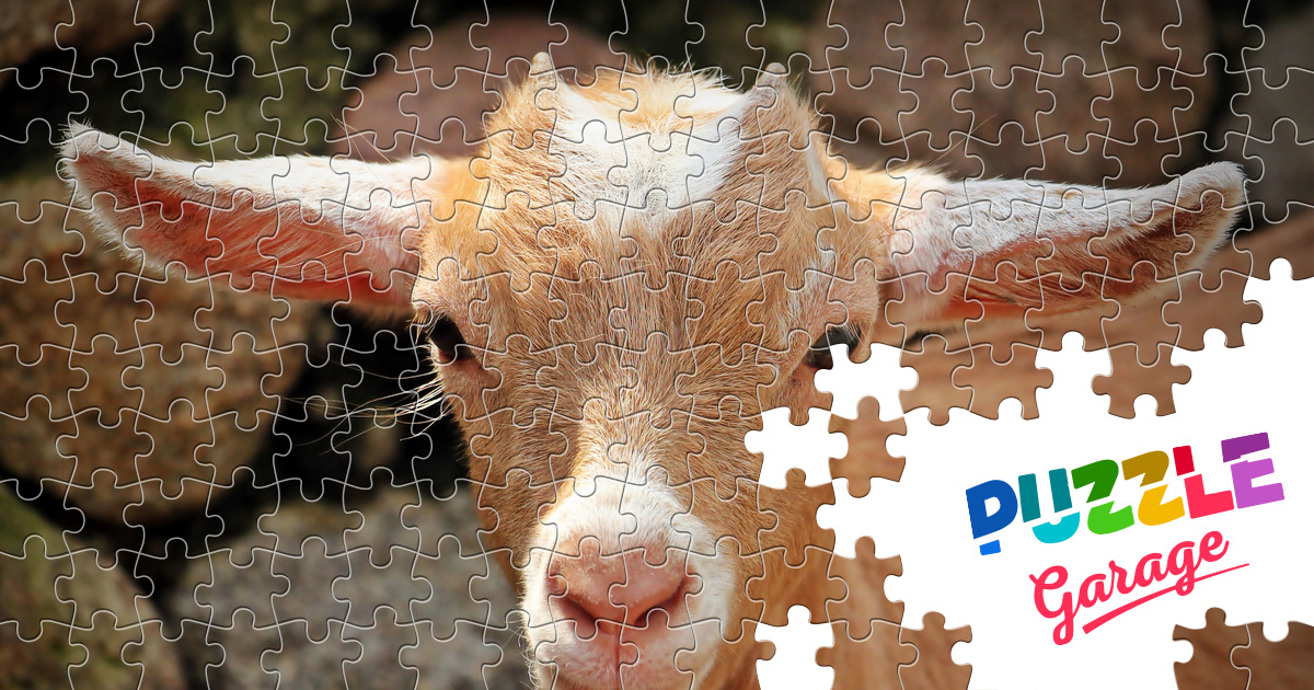 Ginger goat Jigsaw Puzzle (Animals, Pets) | Puzzle Garage