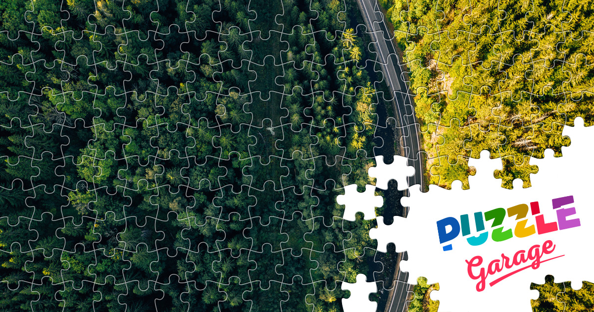 The road is surrounded by green forest Jigsaw Puzzle (Architecture ...