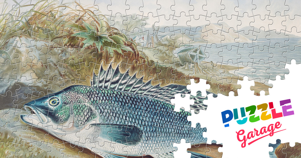 Sea bass illustration Jigsaw Puzzle (Animals, Marine life) | Puzzle Garage
