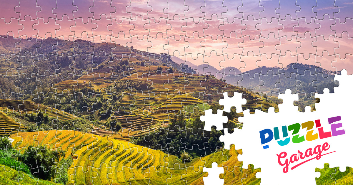 Рисові поля на заході пазли онлайн (Країни, В'єтнам) | Puzzle Garage
