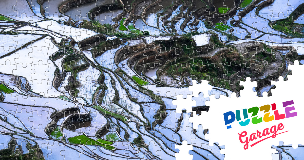 Rice terraces with sky reflection Jigsaw Puzzle (Countries, Philippines ...