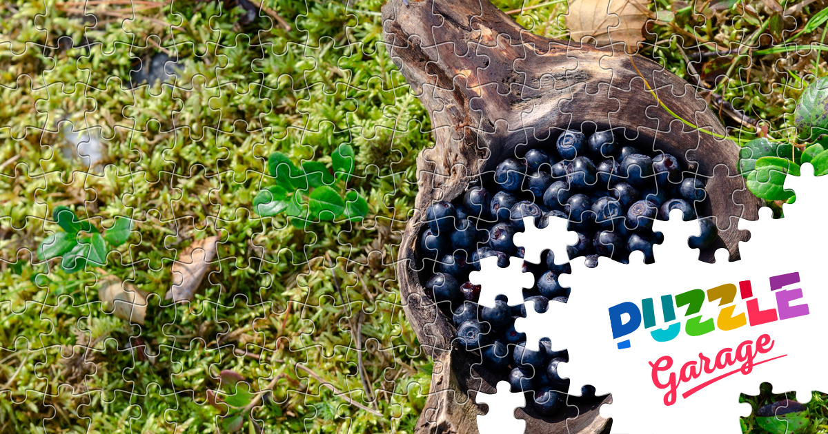 Blueberries in a wooden bowl Jigsaw Puzzle (Plants, Berries) | Puzzle ...