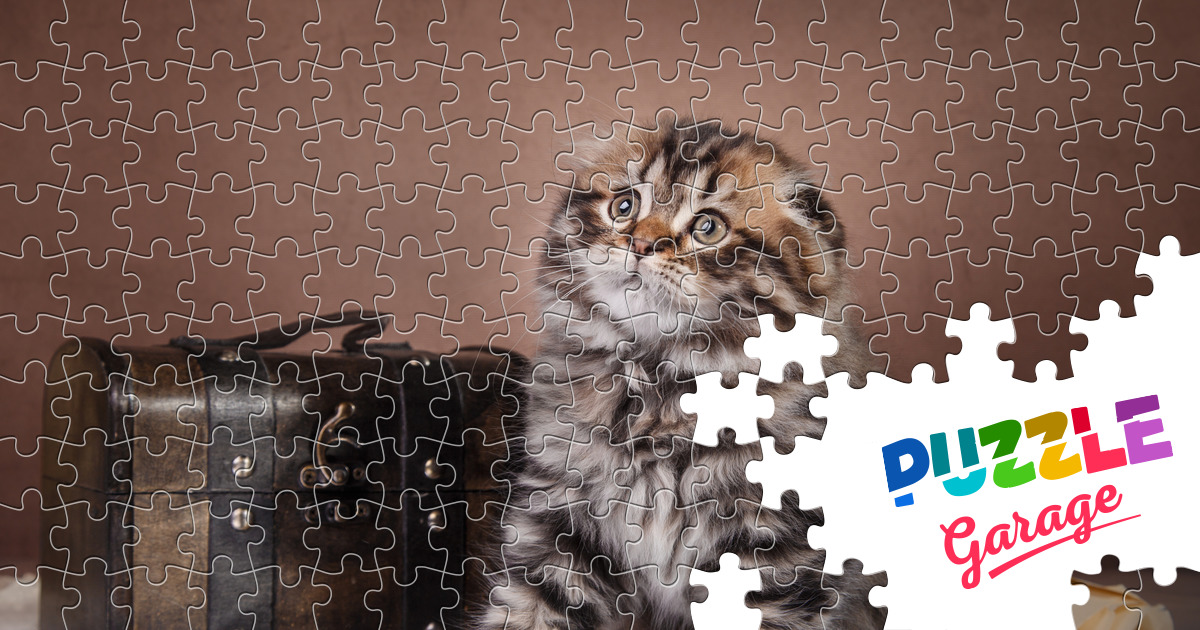 Fluffy kitte Jigsaw Puzzle (Animals, Pets) | Puzzle Garage