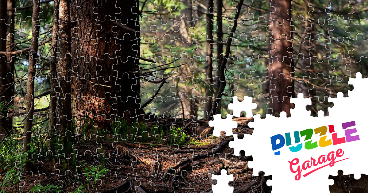 Tree roots Jigsaw Puzzle (Nature, Forest) | Puzzle Garage