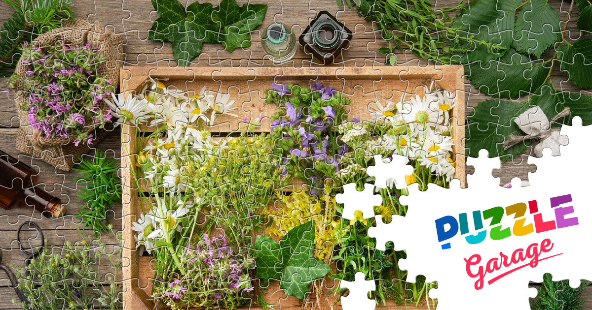 Medicinal flowers and herbs Jigsaw Puzzle (Plants, Flowers) | Puzzle Garage