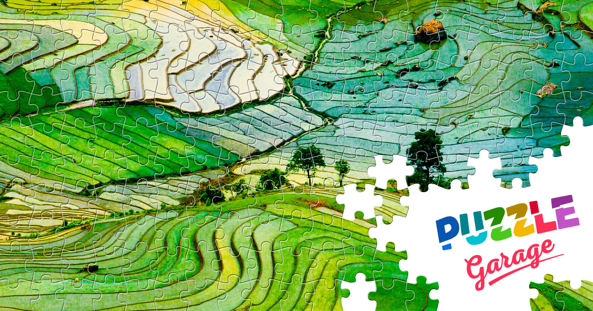 Rice fields in Laocai province Jigsaw Puzzle (Countries, Vietnam ...
