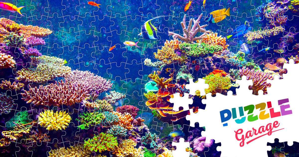 Coral reef and tropical fish Jigsaw Puzzle (Animals, Marine life ...