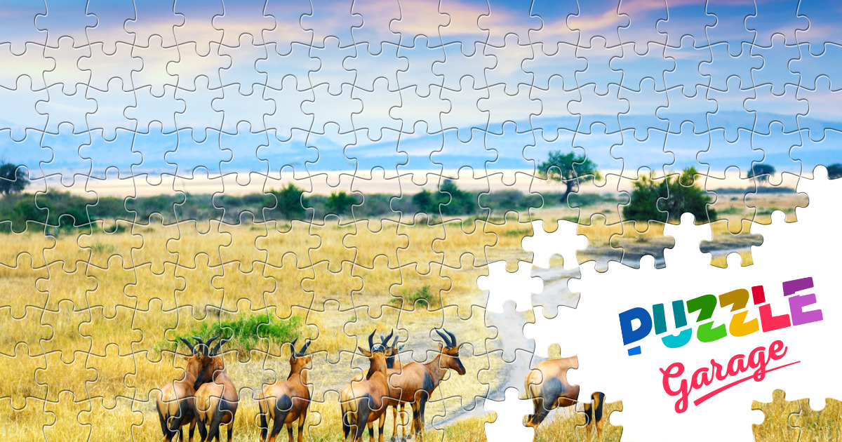 Marsh Antelope Jigsaw Puzzle (Animals, Mammals) | Puzzle Garage