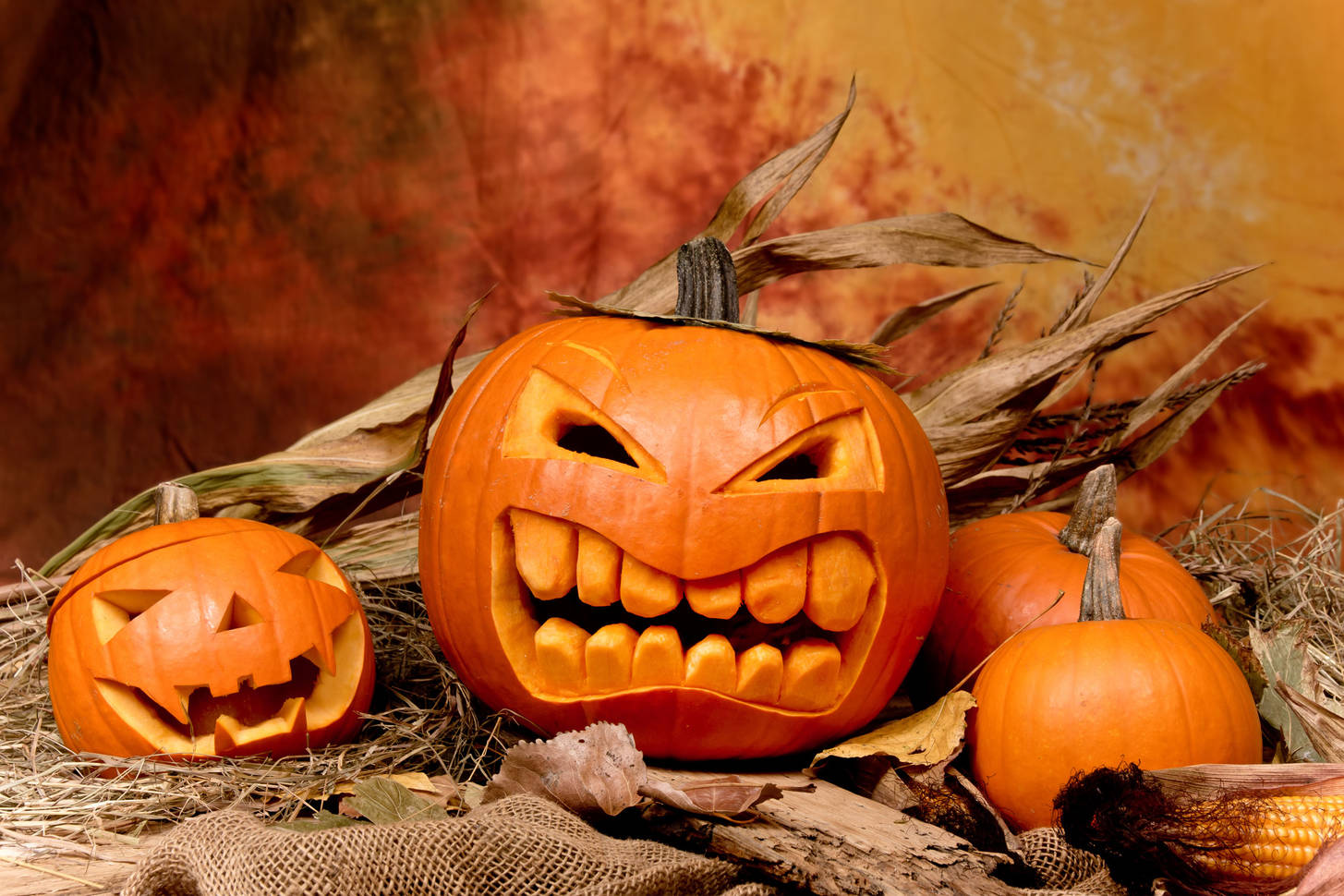 Halloween pumpkins Jigsaw Puzzle (Holidays, Halloween) | Puzzle Garage