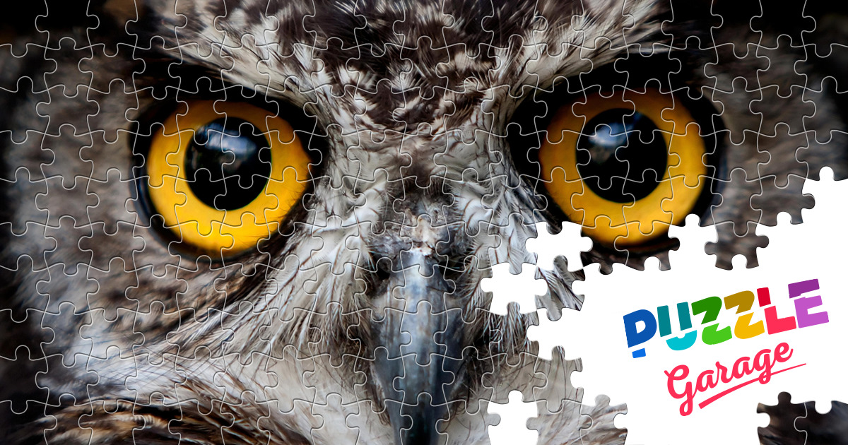 Owl Jigsaw Puzzle (Animals, Birds) | Puzzle Garage