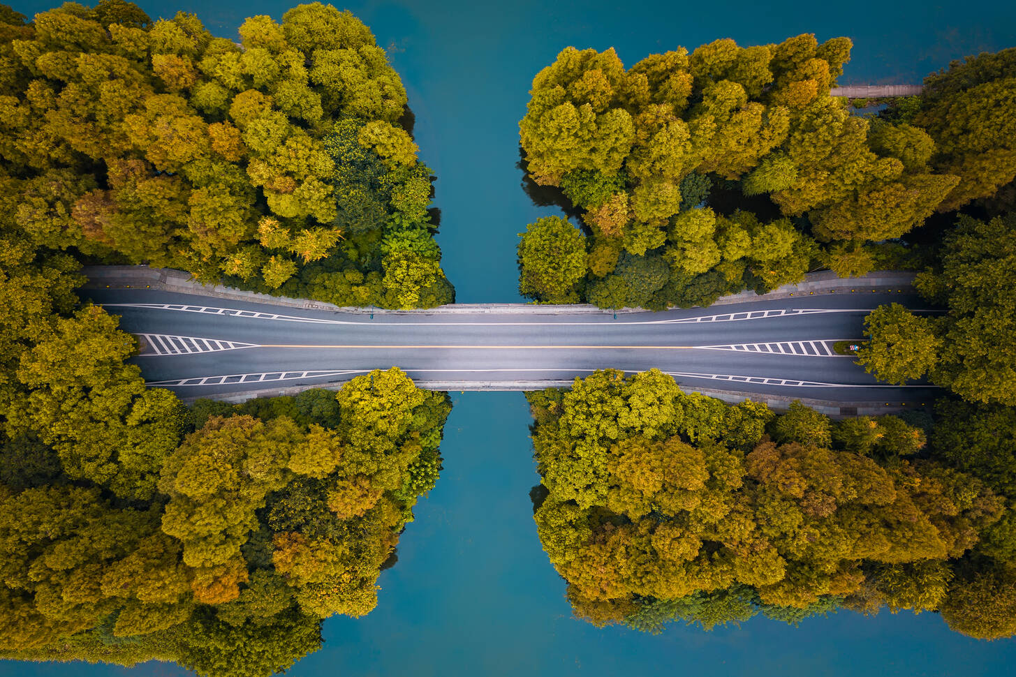 Top view of the road Jigsaw Puzzle (Other, Aerial view) | Puzzle Garage