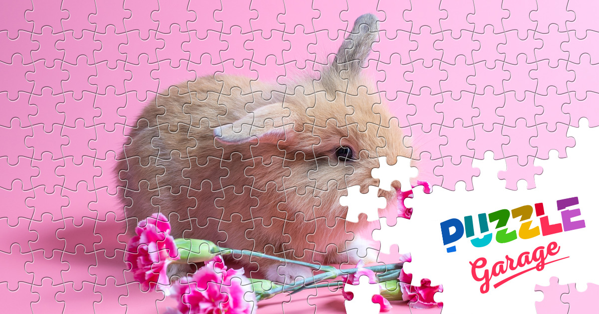 Rabbit and carnations Jigsaw Puzzle (Animals, Pets) | Puzzle Garage
