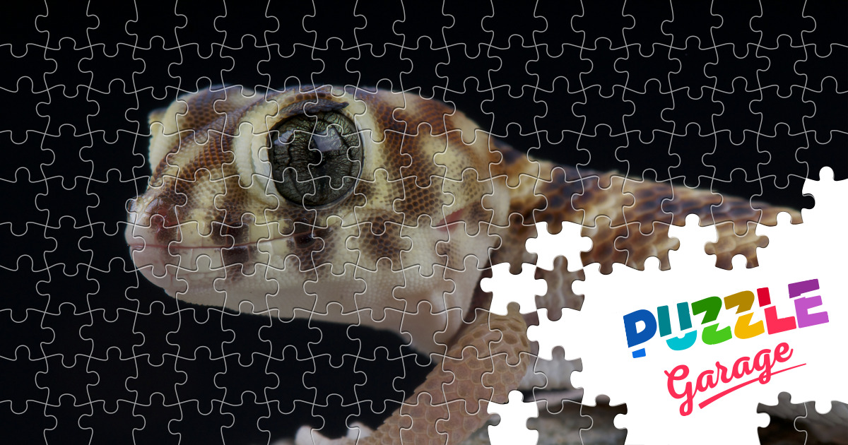 Little gecko Jigsaw Puzzle (Animals, Reptiles) | Puzzle Garage