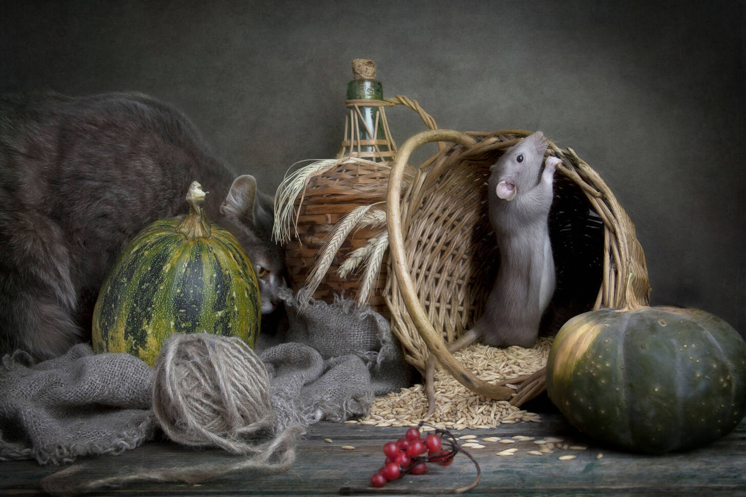 Gray rat in a basket Jigsaw Puzzle (Animals, Pets) | Puzzle Garage