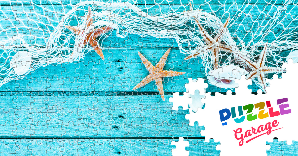 Shells Jigsaw Puzzle (Nature, Seas and Oceans) | Puzzle Garage