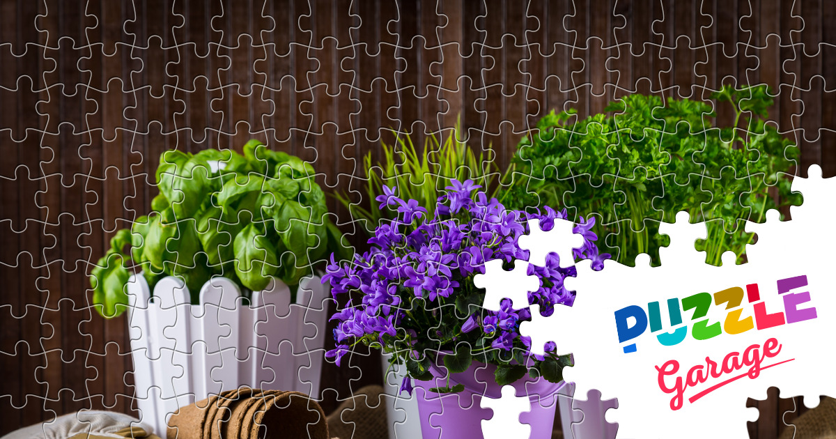 Flowers and herbs in pots Jigsaw Puzzle (Plants, Flowers) | Puzzle Garage