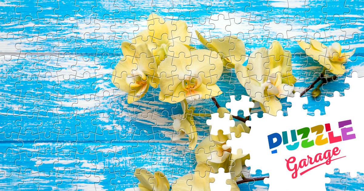 Yellow orchids Jigsaw Puzzle (Plants, Flowers) | Puzzle Garage