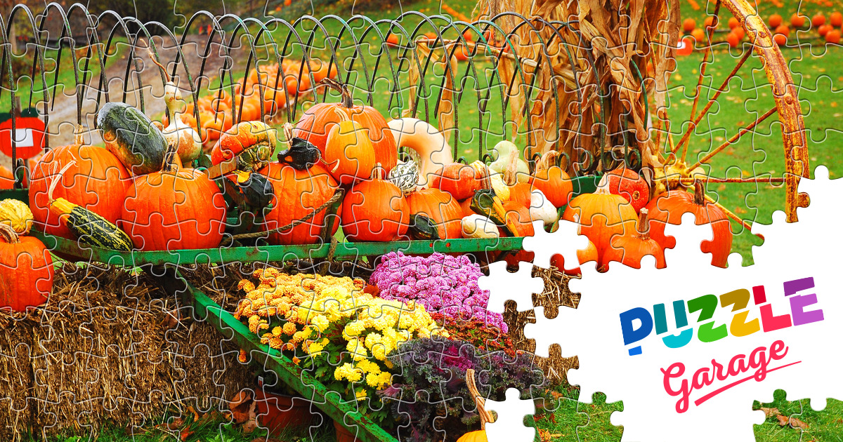 Decorations with pumpkins for the autumn holiday Jigsaw Puzzle (Plants ...