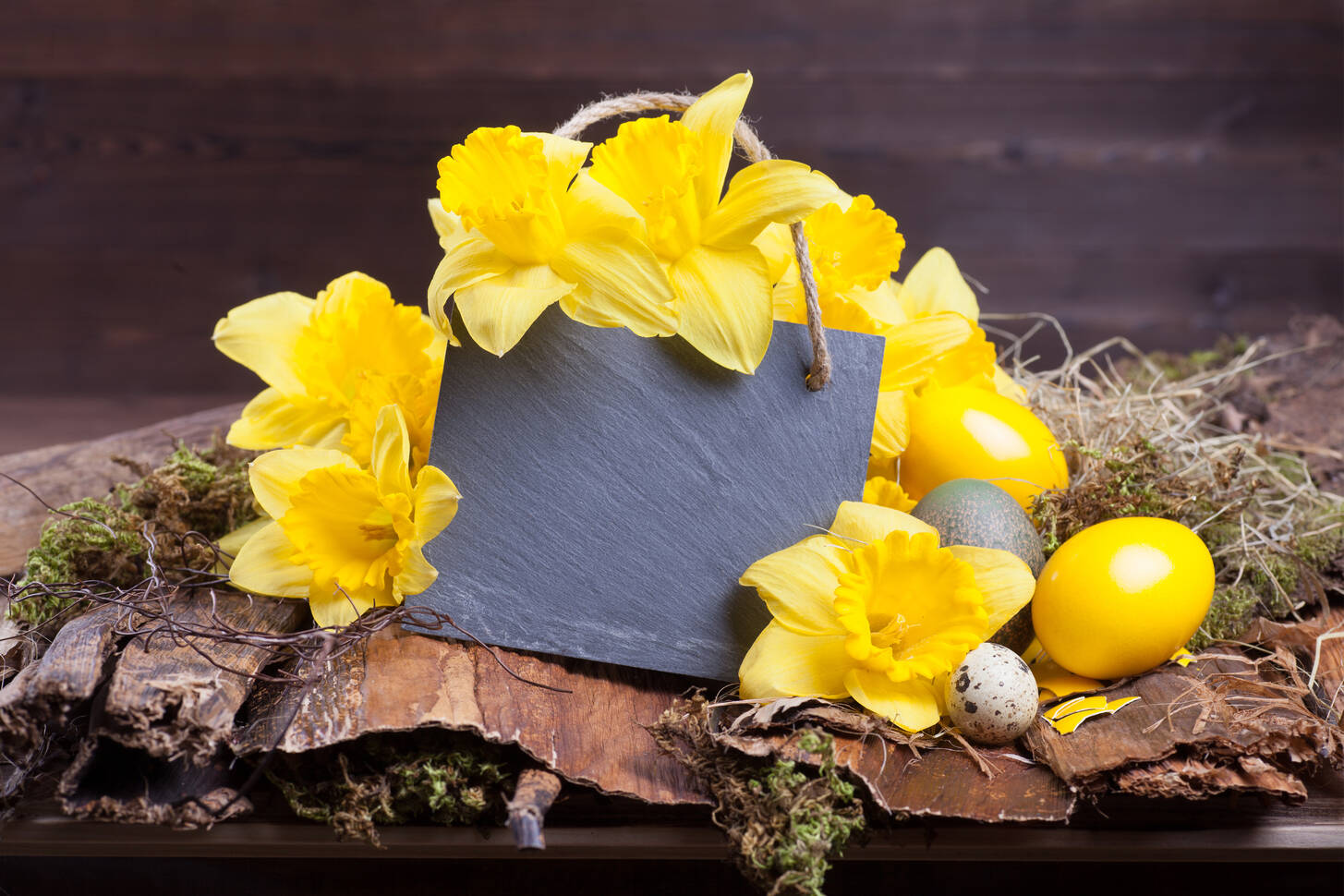 Daffodils and Easter eggs Jigsaw Puzzle (Holidays, Easter) | Puzzle Garage