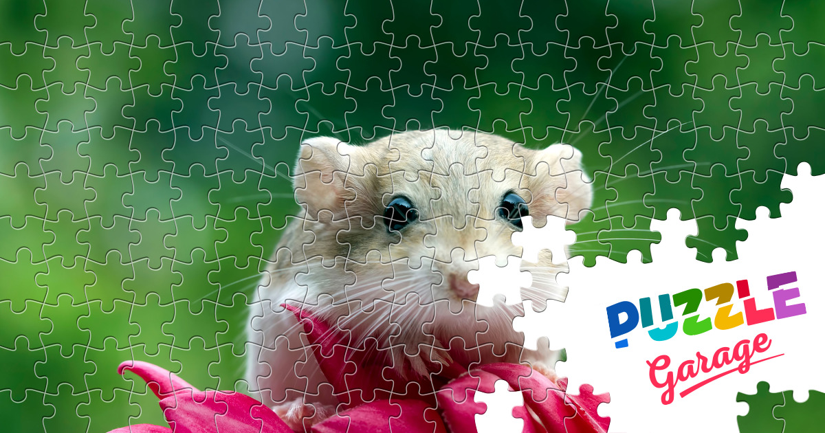 Gerbil mouse on flower Jigsaw Puzzle (Animals, Mammals) | Puzzle Garage