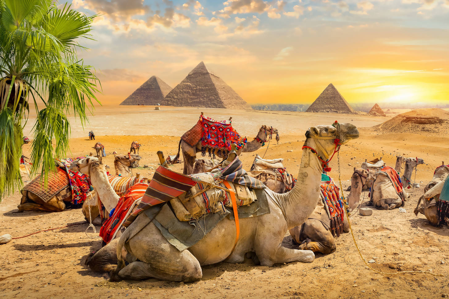 Camels in the desert Jigsaw Puzzle (Countries, Egypt) | Puzzle Garage