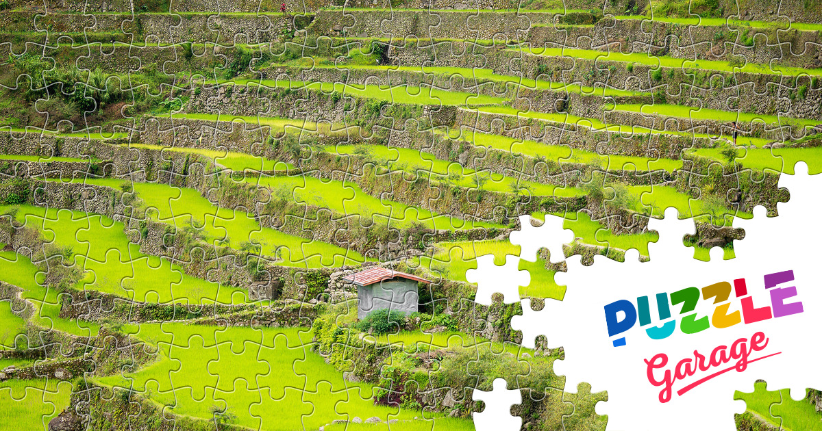 Rice terraces Jigsaw Puzzle (Countries, Philippines) | Puzzle Garage