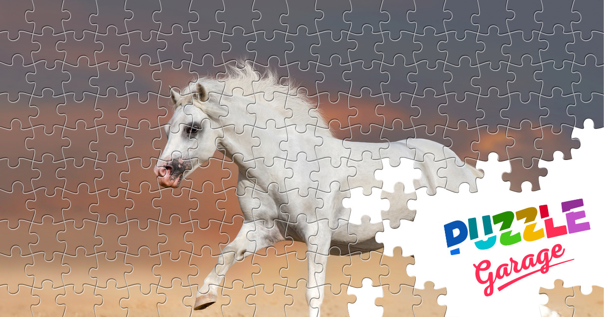 White Welsh pony Jigsaw Puzzle (Animals, Pets) | Puzzle Garage