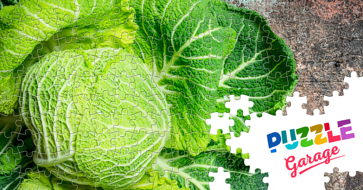Juicy green cabbage Jigsaw Puzzle (Plants, Vegetables) | Puzzle Garage
