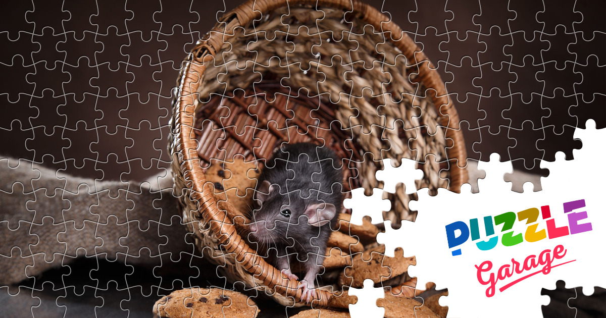 Rat in a basket with cookies Jigsaw Puzzle (Animals, Pets) | Puzzle Garage