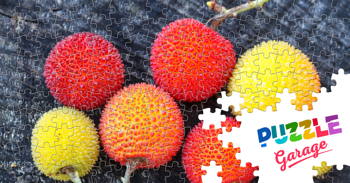 Fruits of the strawberry tree Jigsaw Puzzle (Plants, Fruits) | Puzzle ...