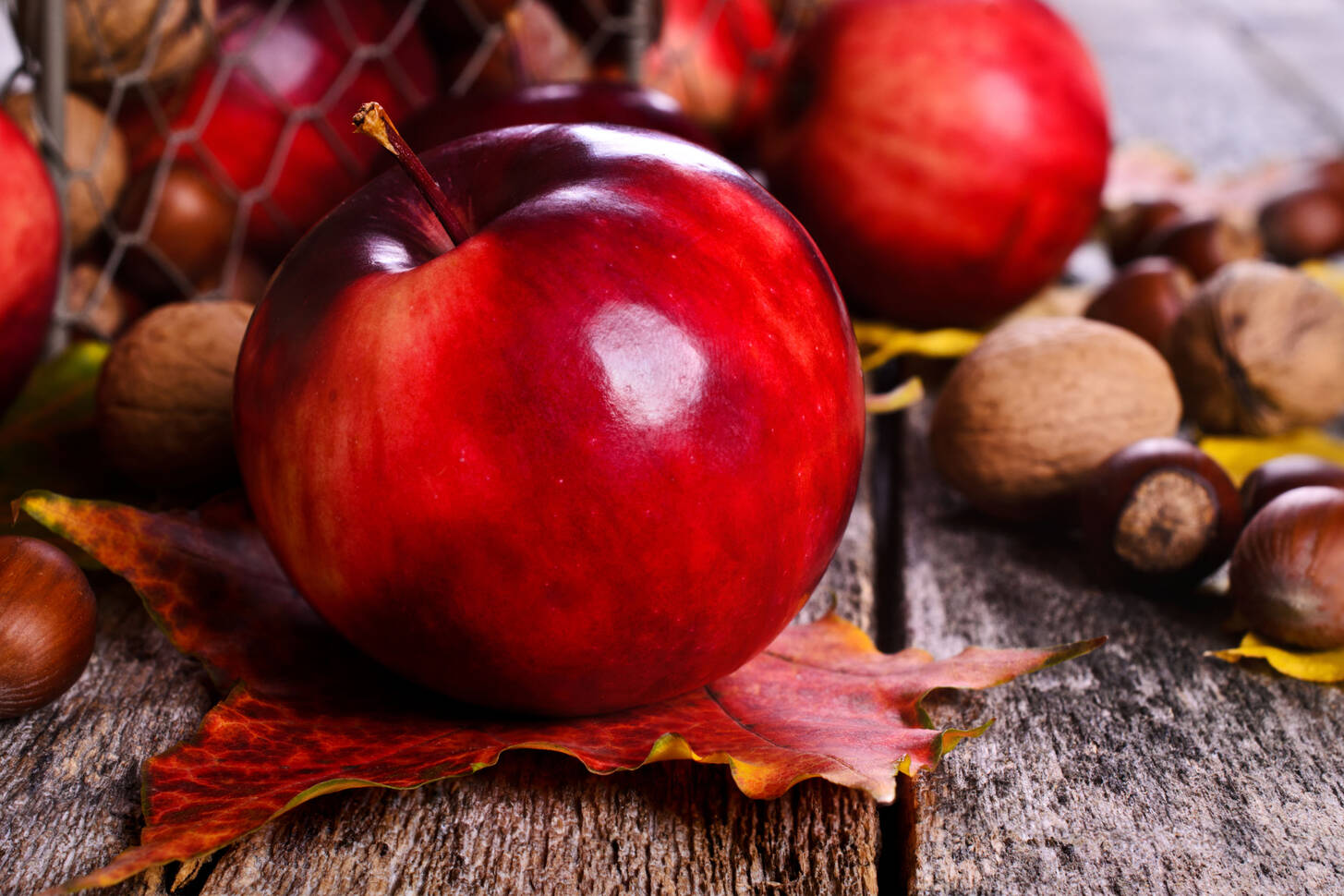 Red apples Jigsaw Puzzle (Plants, Fruits) | Puzzle Garage