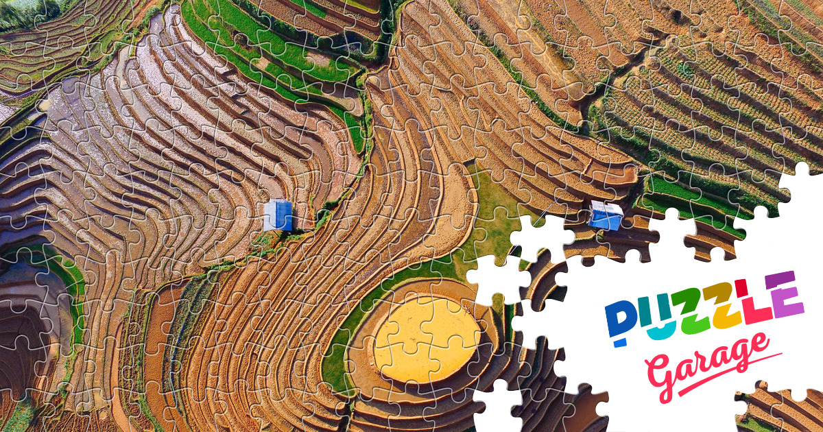 Rice fields on the hillsides Jigsaw Puzzle (Countries, Vietnam ...