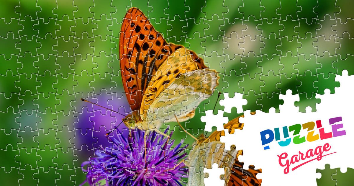 Butterflies in the garden Jigsaw Puzzle (Animals, Insects) | Puzzle Garage