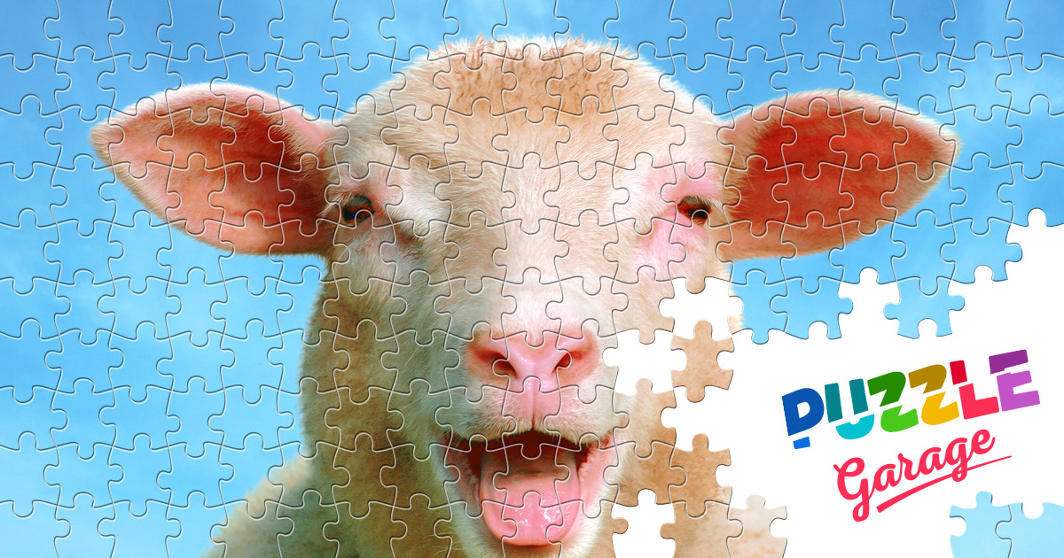 Sheep Jigsaw Puzzle (Animals, Pets) | Puzzle Garage