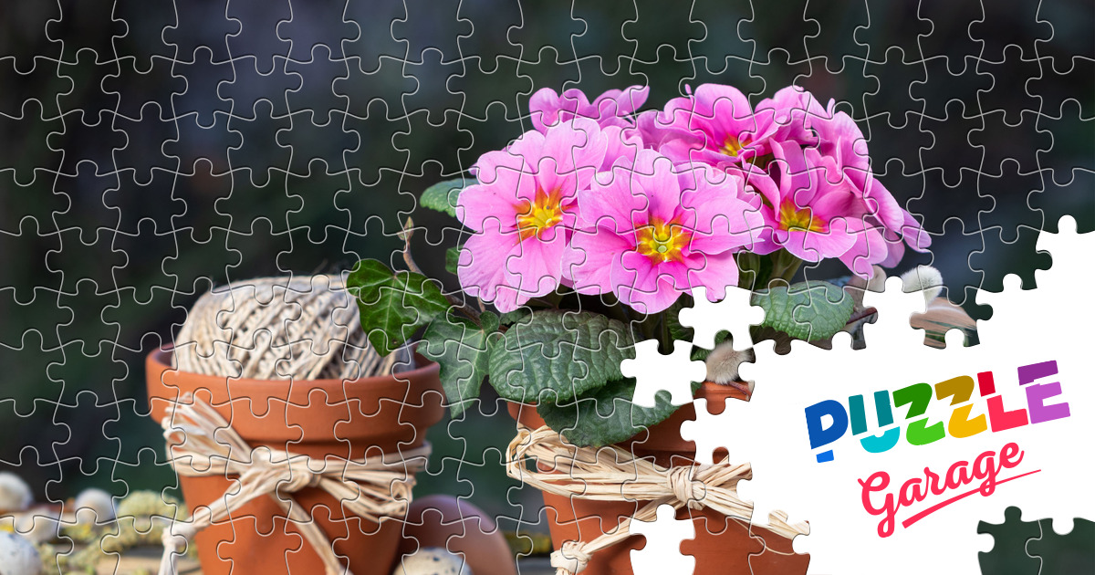 Primrose Jigsaw Puzzle (Plants, Flowers) | Puzzle Garage