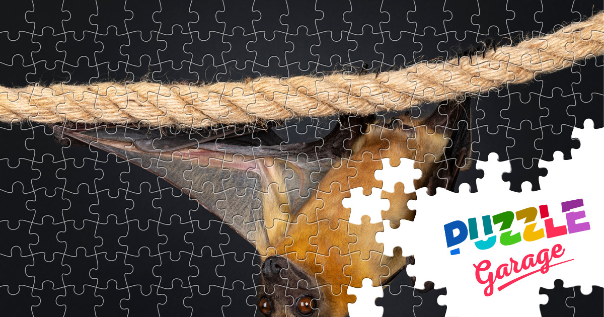 Fruit bats Jigsaw Puzzle (Animals, Mammals) | Puzzle Garage