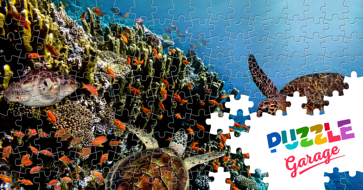 Turtles and fish among corals Jigsaw Puzzle (Animals, Marine life) | Puzzle Garage