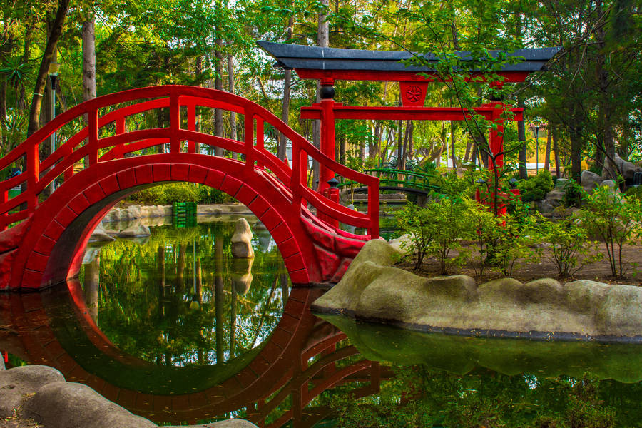 Bridge in the blue forest Jigsaw Puzzle (Architecture, Bridges ...