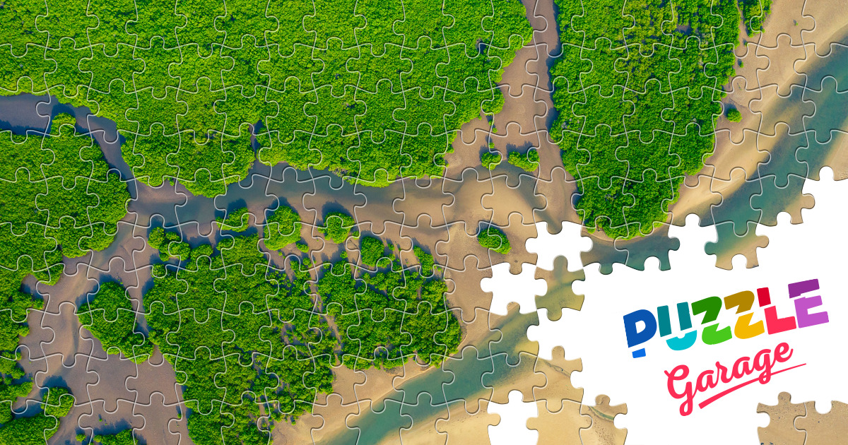 Tropical forest top view Jigsaw Puzzle (Other, Aerial view) | Puzzle Garage