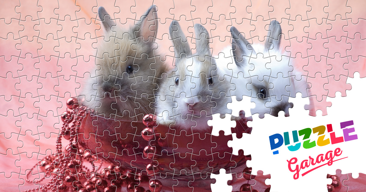 Three rabbits Jigsaw Puzzle (Animals, Pets) | Puzzle Garage