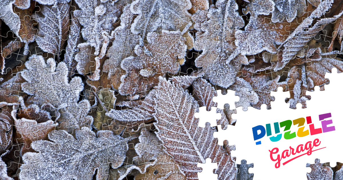 Fallen frosty leaves Jigsaw Puzzle (Plants, Trees) | Puzzle Garage
