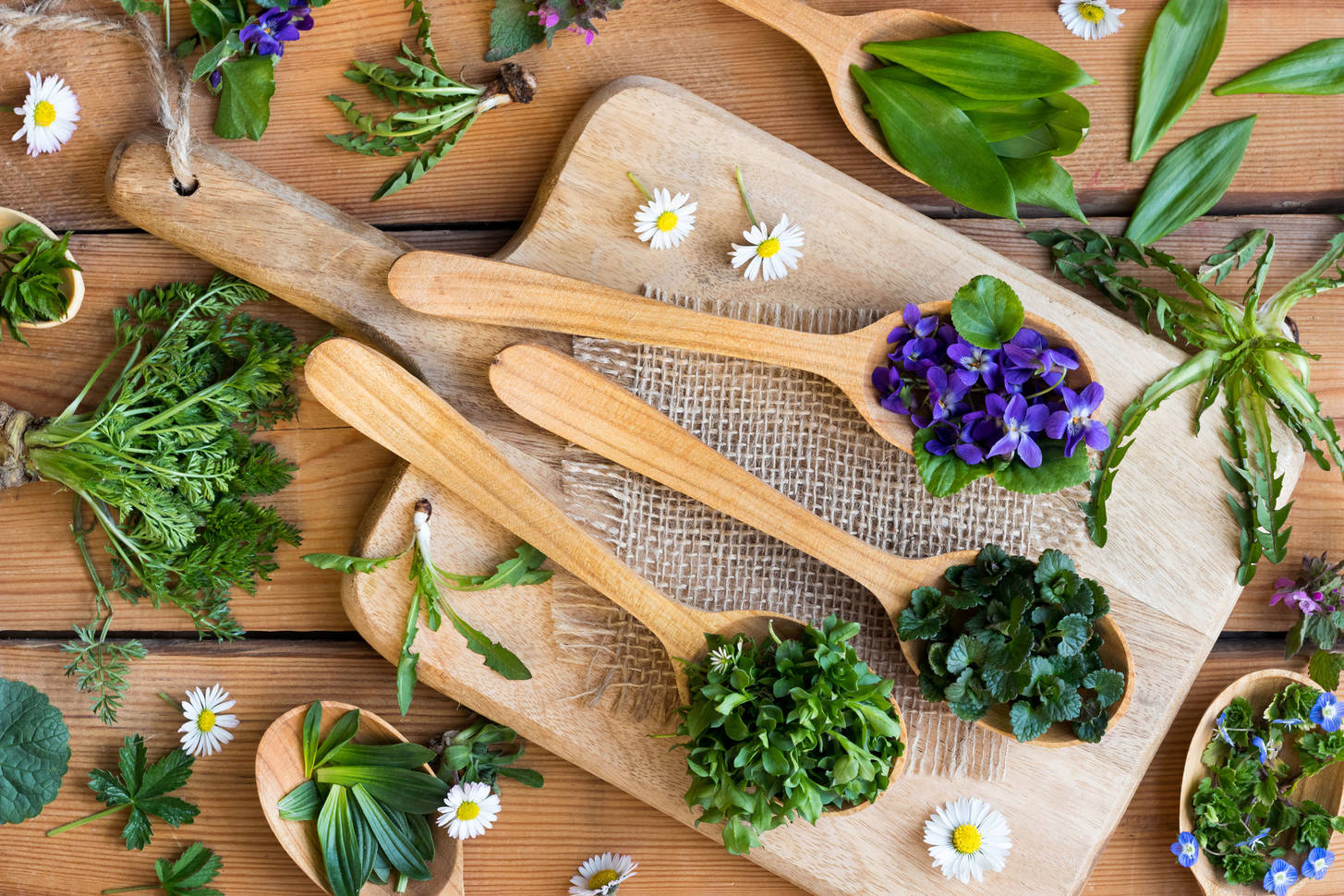 Edible herbs and flowers on wooden spoons Jigsaw Puzzle (Home, Food ...