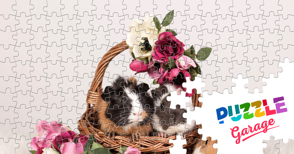 Guinea pigs in a basket with flowers Jigsaw Puzzle (Animals, Pets ...