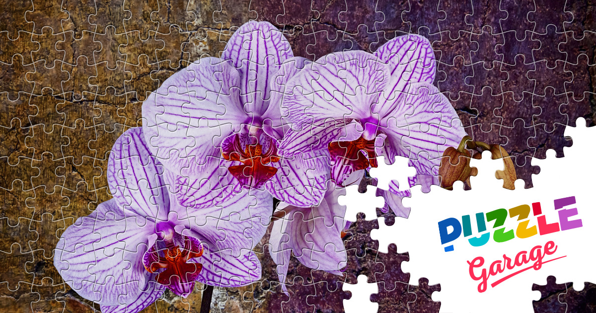 Purple orchid Jigsaw Puzzle (Plants, Flowers) | Puzzle Garage