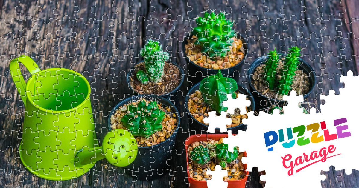 Small cacti Jigsaw Puzzle (Plants, Flowers) | Puzzle Garage