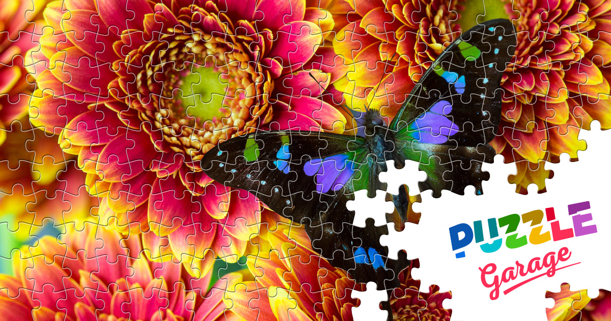 Butterfly on chrysanthemums Jigsaw Puzzle (Animals, Insects) | Puzzle ...